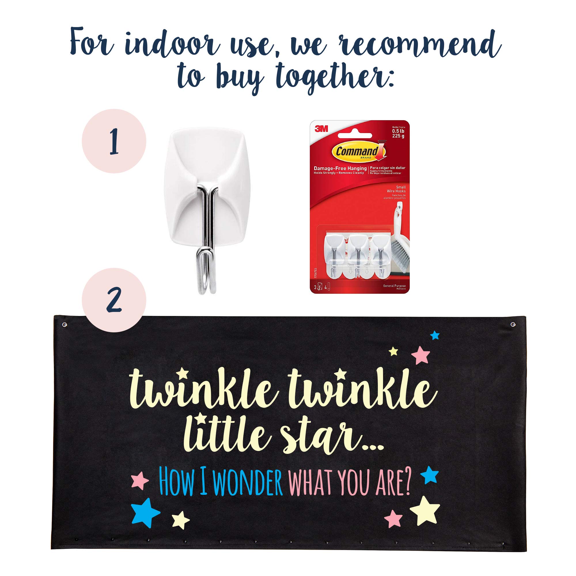 Gender Reveal Balloon Drop Bag | Twinkle, Twinkle Little Star