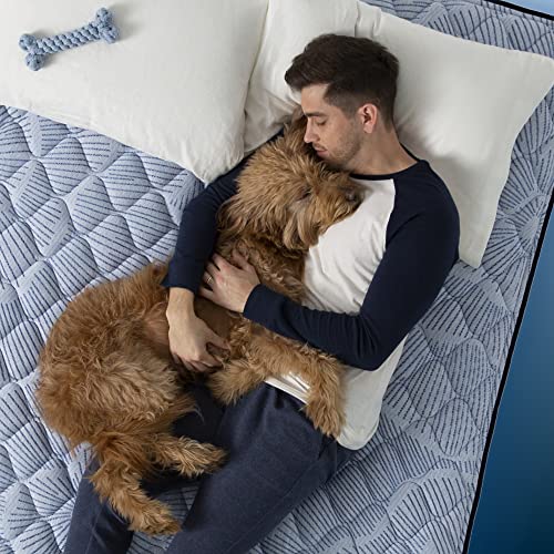 Serta Perfect Sleeper Enhanced 14.5" California King Mattress - Plush Pillow Top, Cooling Gel Memory Foam, Pocket Innersprings for Motion Isolation, Edge Support, CertiPUR-US Certified - Nurture Night