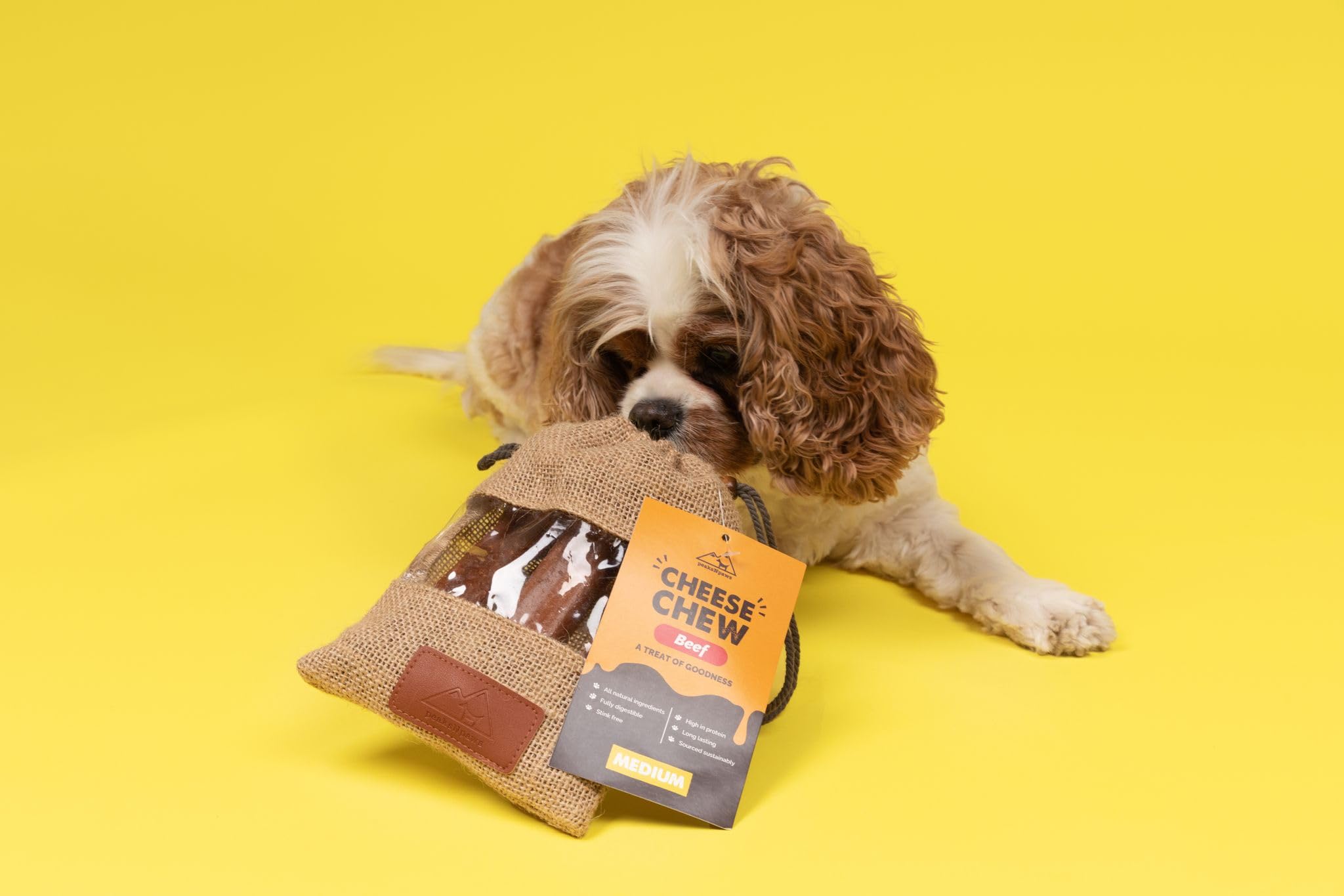 peaksNpaws Premium Cheese Chews -All Natural - 100% Digestibility - Grain, Gluten & Stink Free - Low in Fat, High in Protein - Small Value Pack Chicken Flavor