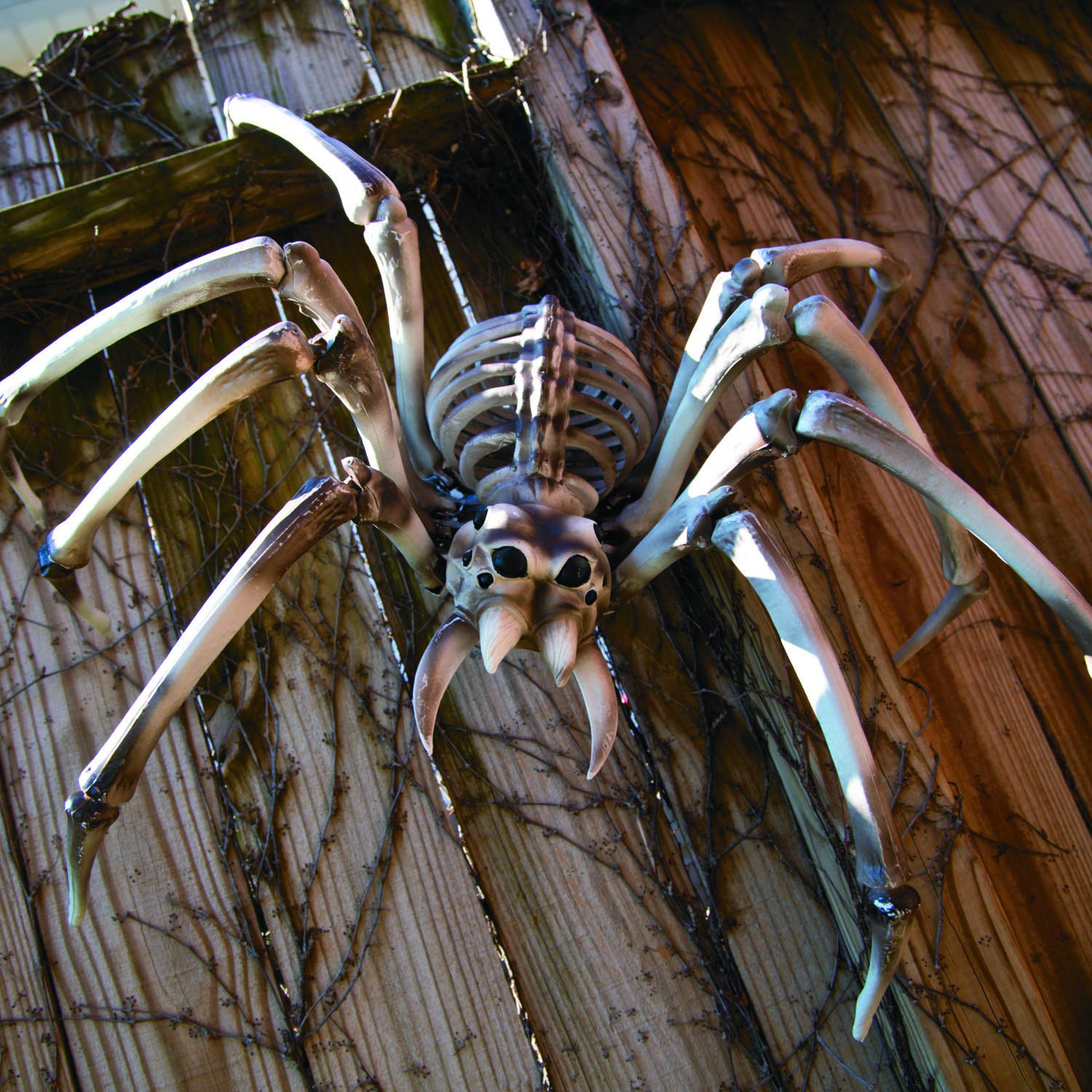 Giant Halloween Skeleton Spider for Halloween Decor, Almost 3 Feet