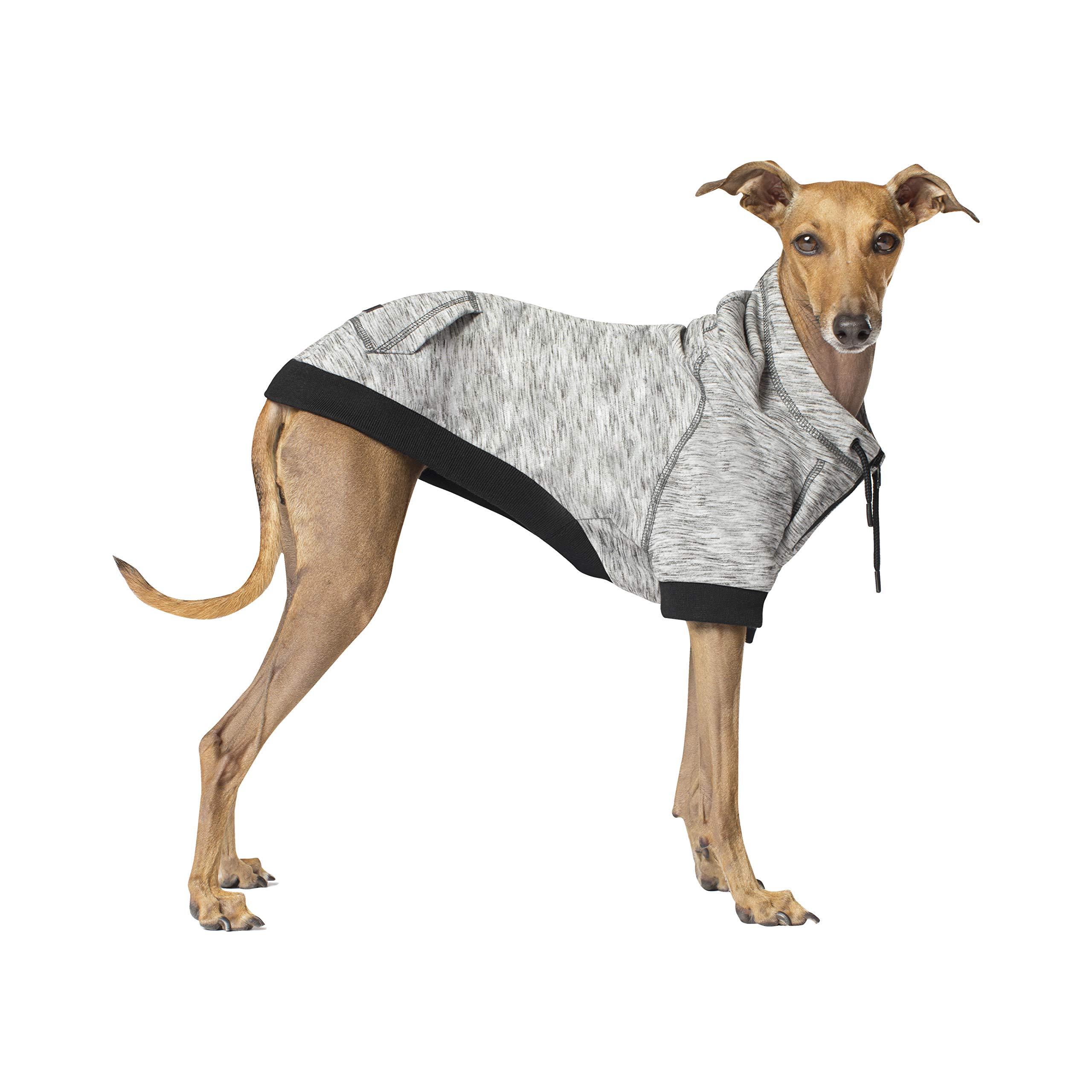 Canada Pooch Spacedye Hero Dog Hoodie Grey Size 18, Large, Gray