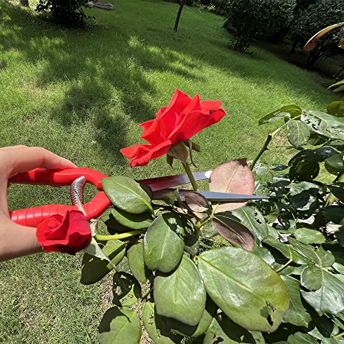 Extra Long Garden Scissors Gardening Tools Micro-Tip Pruning Shears, Non-Stick Precision-ground Blades, 9.6β Sharp Plant Fruit Trees Bonsai Sharp Garden Scissors