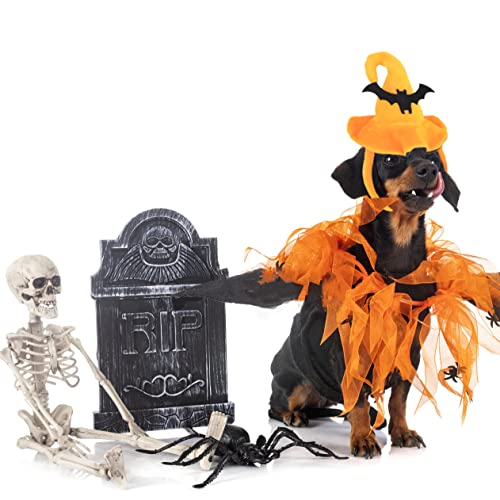Pet Halloween Headband for Dogs Cats Black Bat Orange Hat Costume Dress Up Accessories for Medium LargeĀ Pet for Cosplay and Makeup