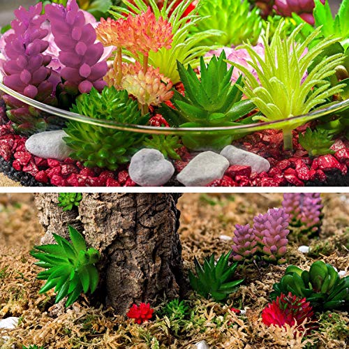 Housenior 24 Mini Artificial Succulent Plants Unpotted : Fake Succulents Picks Realistic Plastic Cactus Stems for Terrarium Bulk Small Faux Assorted Arrangements Flocked Greenery