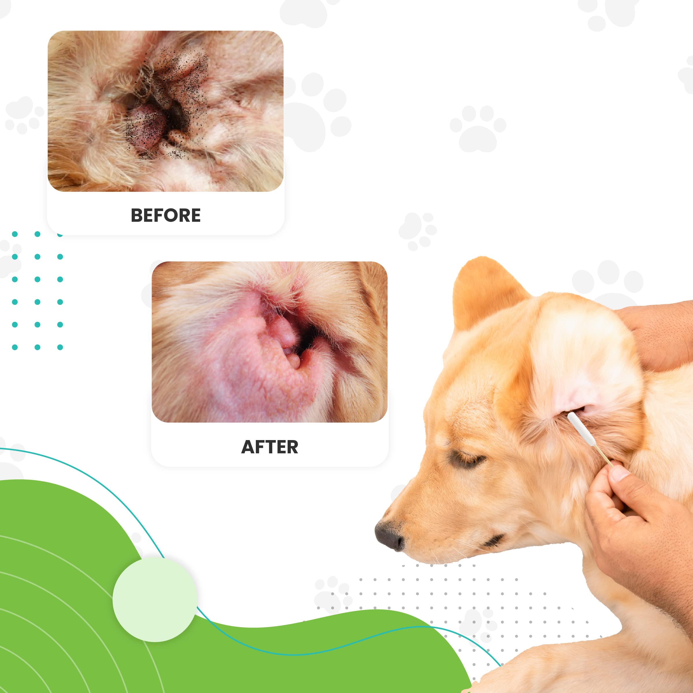 We Love Doodles Dog Ear Cleaning Solution Kit | Prevent Infections | Organic | Made in USA | Ear Drops for Dogs | Itching, Deordoring, Yeast & Mites Infection (Serum + 25 Swabs)