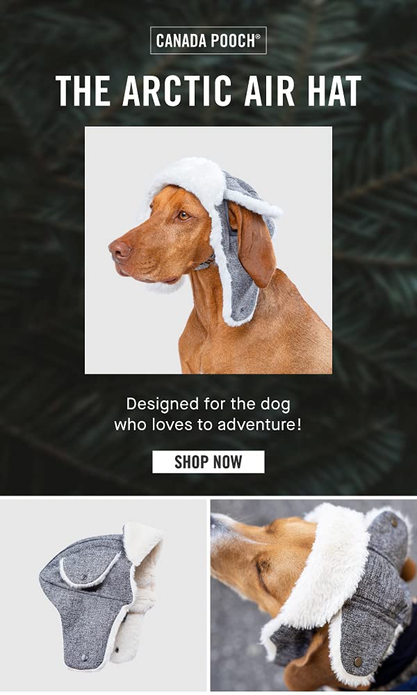 Canada Pooch Dog Winter Hat Adjustable Pet Beanie with Ear-Holes with Faux-Fur Lining Dog Avaitor Hat Cute Dog Accessory for Small Medium Large Dogs - Grey/S
