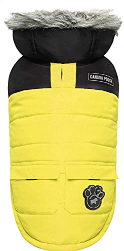 Canada Pooch True North Parka - Yellow - Size 10, 10 (9-11" Back Length)