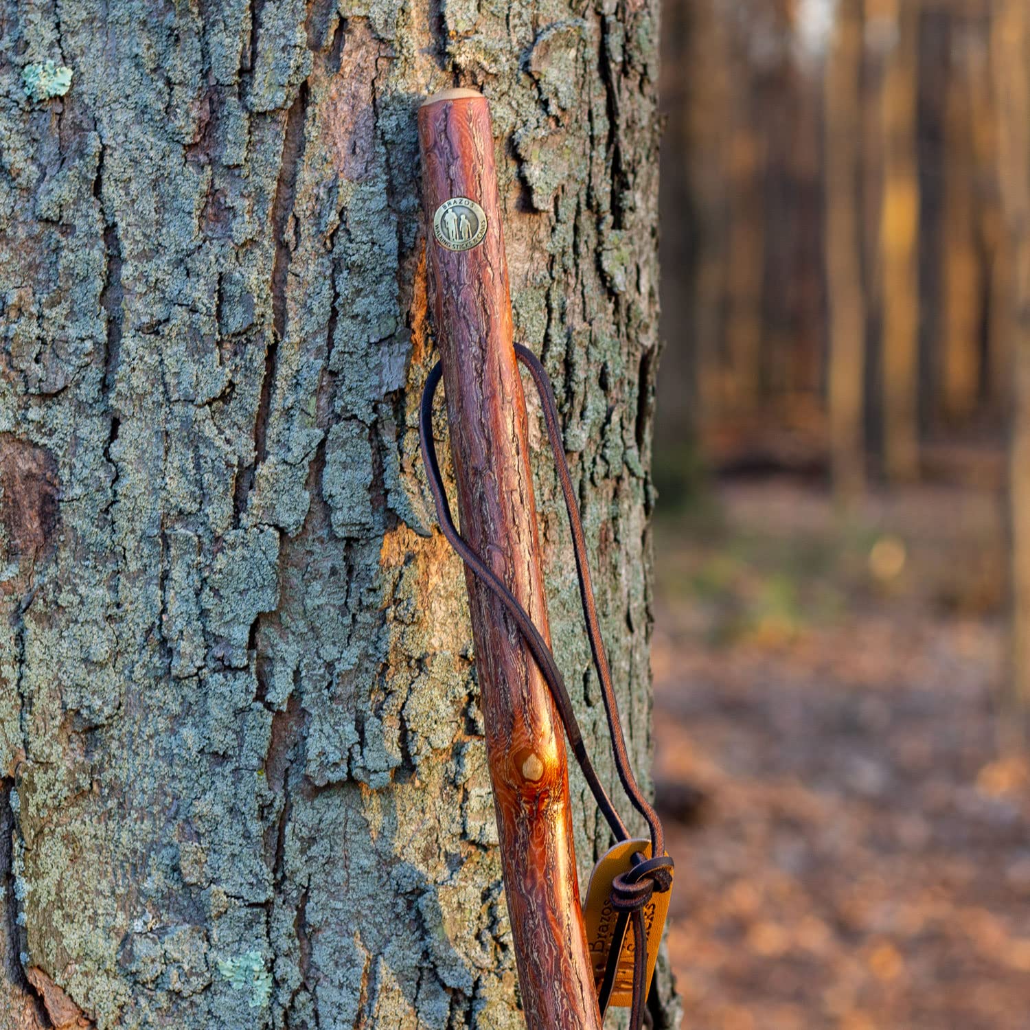 Brazos Rustic Wood Walking Stick, Sassafras, Traditional Style Handle, for Men & Women, Made in the USA, 55"