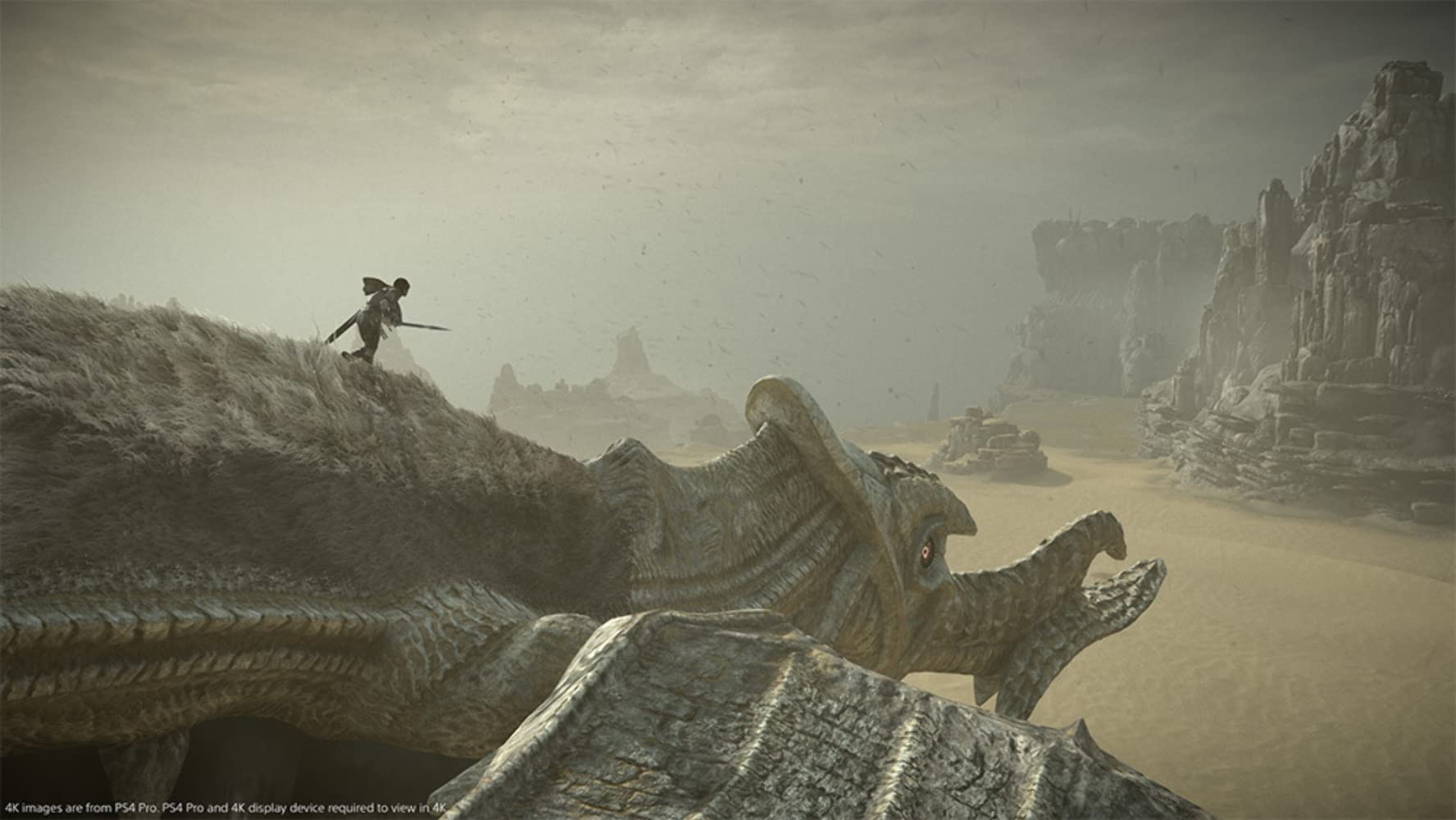 Shadow of the Colossus - PlayStation 4 (AU Import)