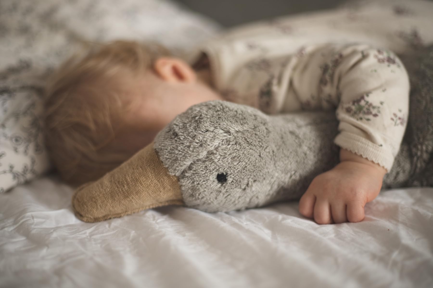 Senger Organic Cotton Goose Warming Pillow - Filled with Spelt - Grey - Large