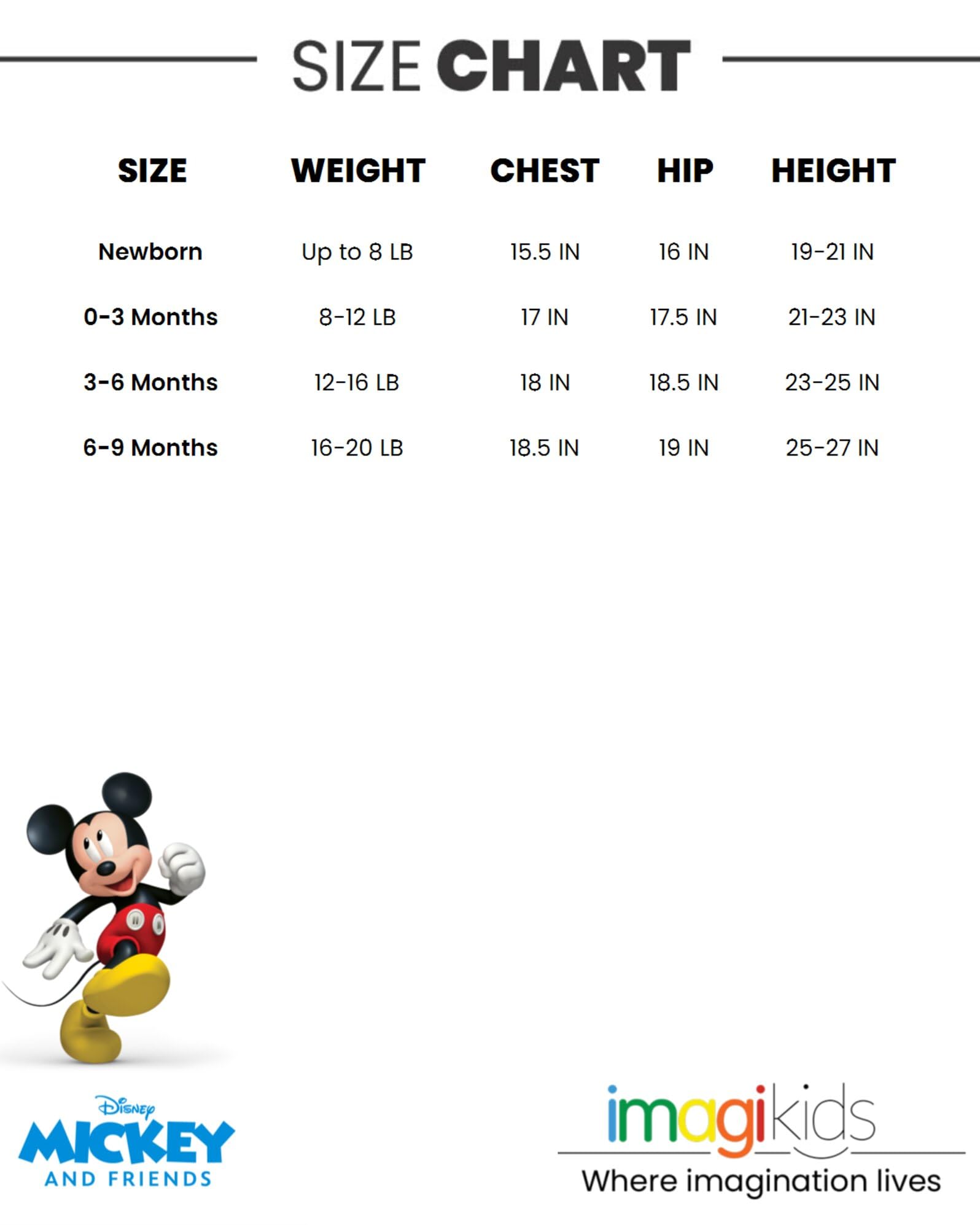 Disney Mickey Mouse Newborn Baby Boy or Girl Jacket & Pants Gray 0-3 Months