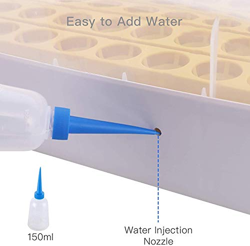 Egg Incubator 48 Eggs Fully Automatic Digital Poultry Incubator with Fahrenheit Temperature and Auto Turning for Hatching Chicken Duck Goose Quail Bird, Egg Hatcher Breeder Incubator Gift Set for Kids