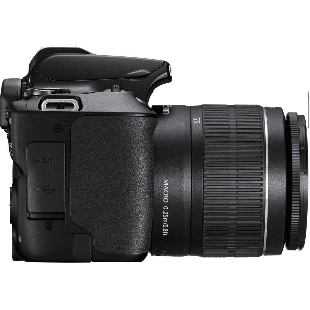 Canon EOS 250D w/EF-S 18-55mm f/3.5-5.6 III Lens with Professional Accessory Bundle - Includes: Spare LPE17 Battery w/Charger, Slave Flash, Large Gadget Bag with Dual Buckles & Much More