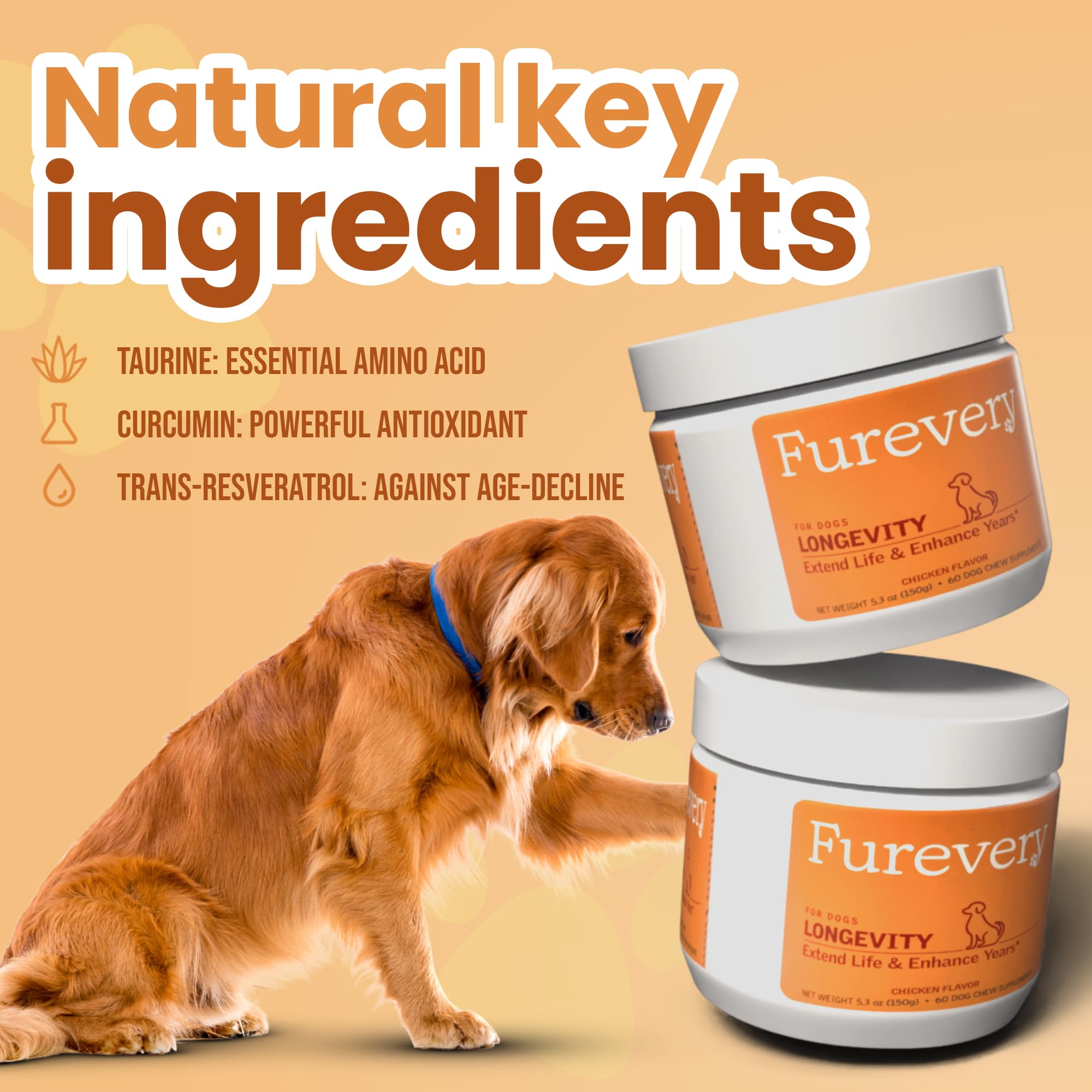 Furevery Chewable Dog Vitamins and Supplements β Daily Longevity Multivitamin for Dogs with Curcumin, Taurine, Trans-Resveratrol β Essential Vitamins for Dogs to Support Wellness and Vitality