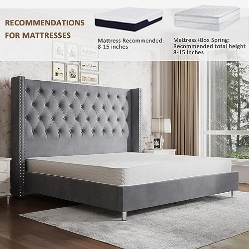 Jocisland Queen Bed Frame Upholstered Bed Wingback Headboard Velvet Tufted Diamond Button/No Box Spring Needed/Easy Assembly/Gray