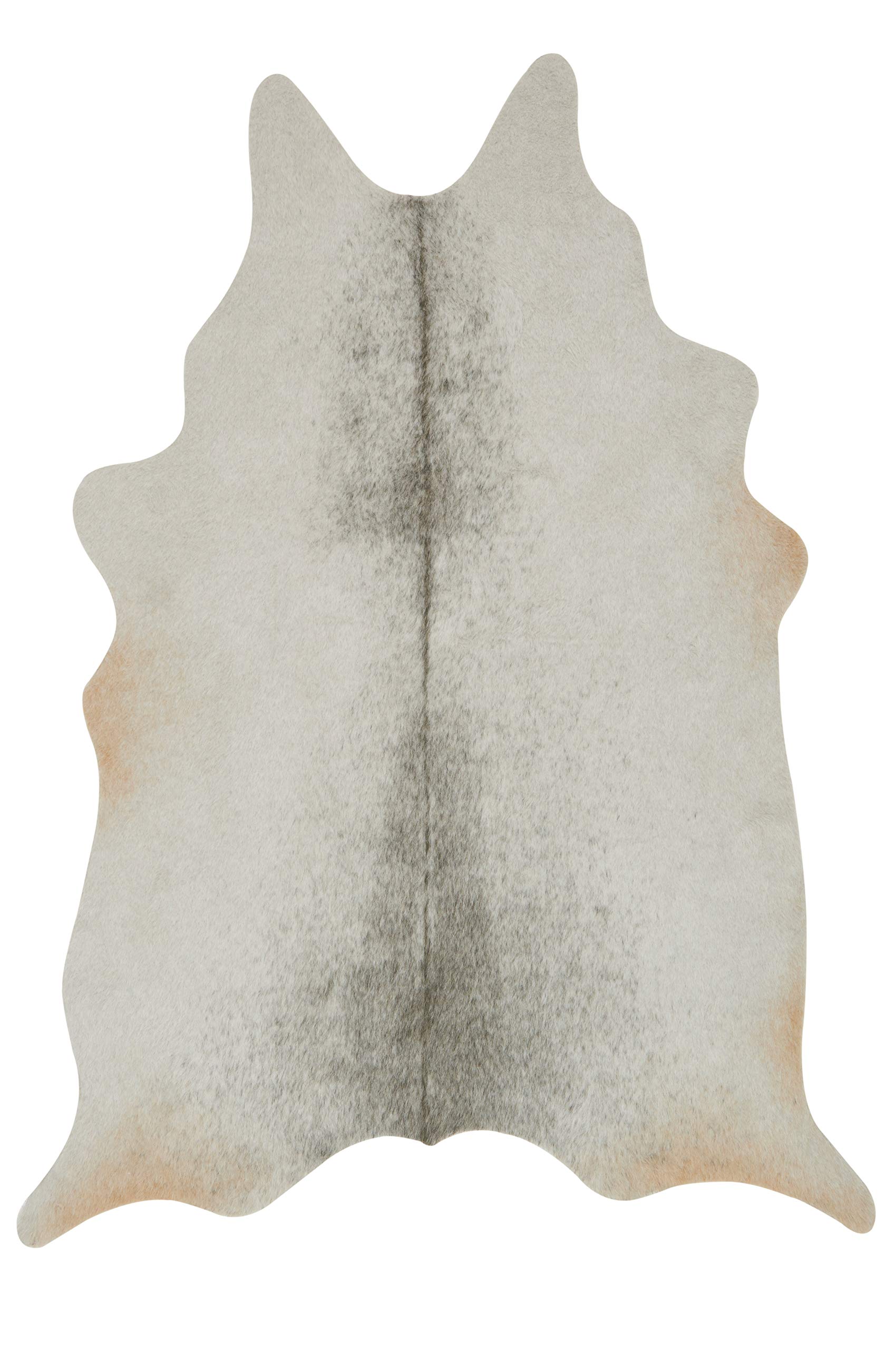 Loloi II Grand Canyon Silver/Grey 5' x 6'-6" Area Rug
