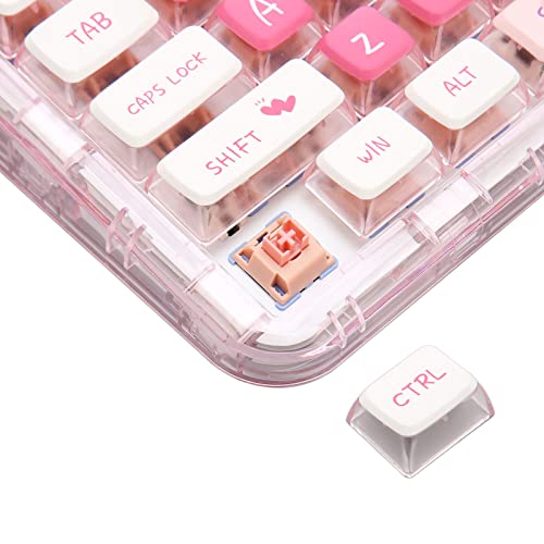 FOTABPYTI 80 Key Mechanical Keyboard, Transparent Wired Gaming Keyboard Type C Wired Bluetooth RGB Backlight 3750mAh Battery Pink for Computer