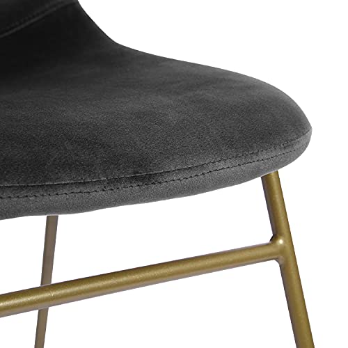 FurnitureR, Velvet Fabric Upholstered Seat Kitchen Room Set of 2, Mid Century Modern Backrest,Gold Metal Legs Dining Chair, Grey