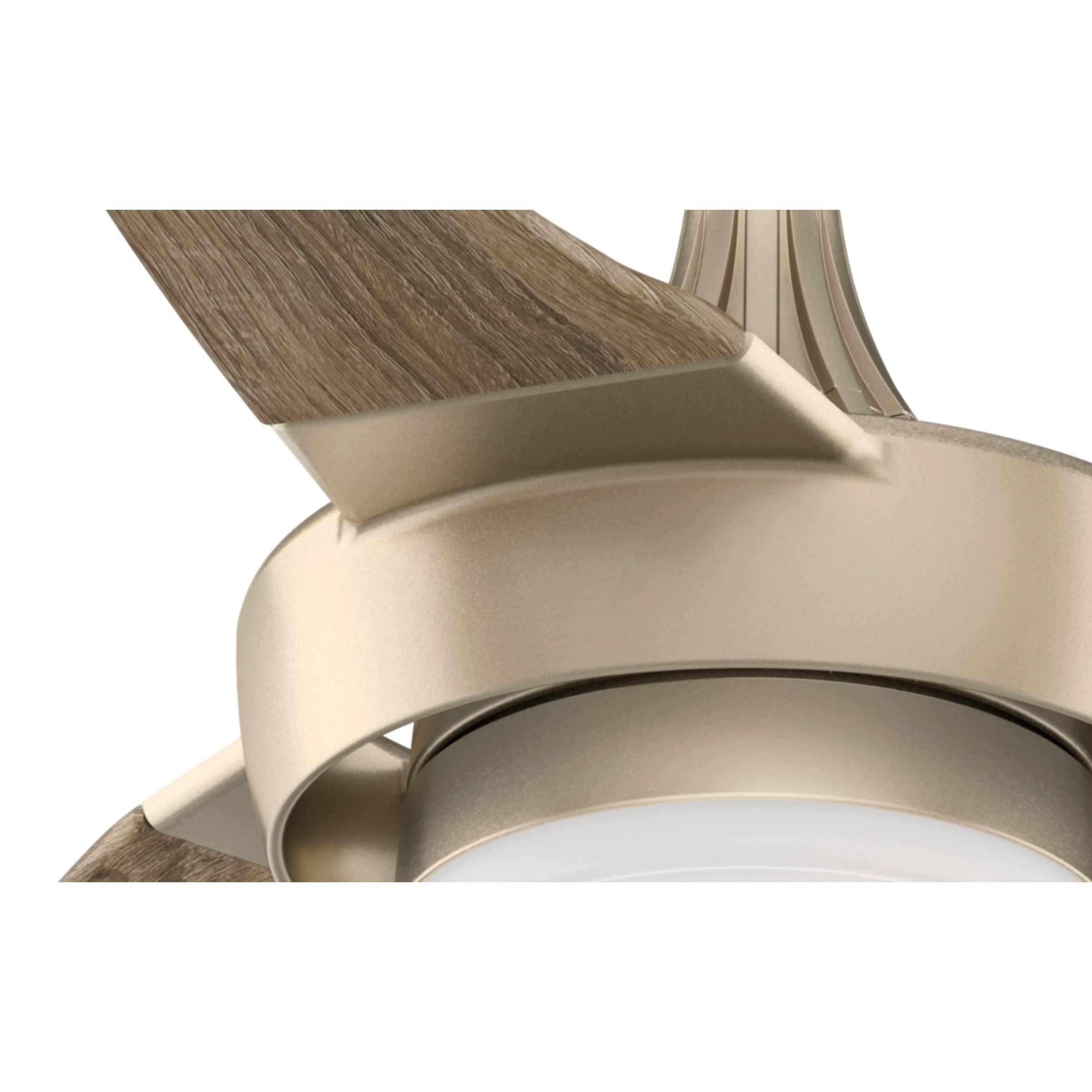 Casablanca Perseus Indoor/Outdoor Ceiling Fan with LED Light and Wall Control