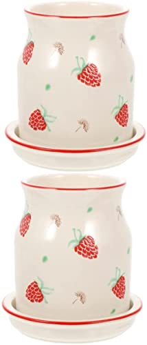chopstick 2pcs Forks Cup Kitchen Strawberry Holder Ceramic Counter Decor Chopsticks Drying Ladles Organizer Tray with Household Storage Crock Bottom Cage Rack Desktop Silverware Cutlery holder
