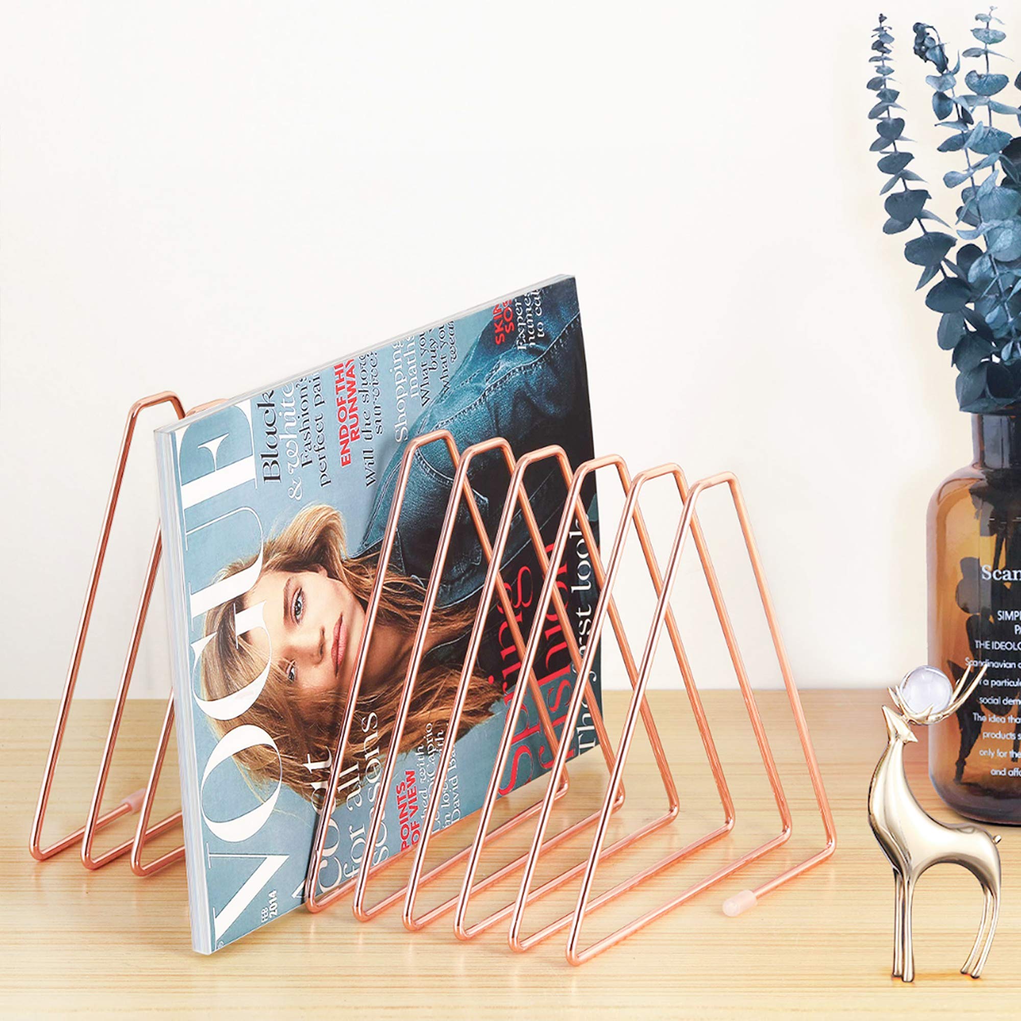 CAXXA 10 Slots Triangle Bookshelf, File Sorter, Magazine Holder, Document Holder, Rose Gold