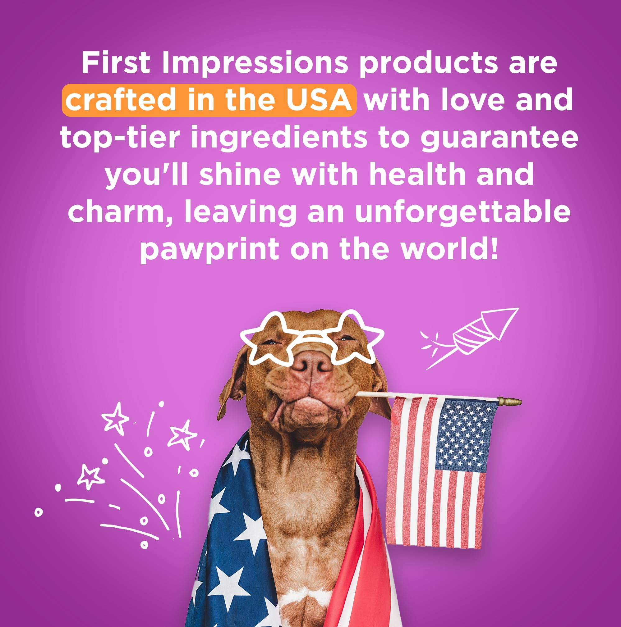 First Impressions Itch, Please! Dog Allergy Chews - Dog Allergy Relief - Stop Licking, Scratching and Chewing - Apple Cider Vinegar, Probiotics, Turmeric - Allergy Relief for Dogs Itching - 120 ct