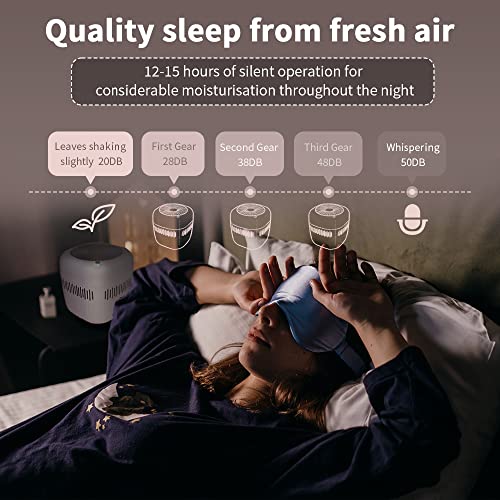 DobeTiny Humidifiers for Bedroom,No Mist Evaporative Humidifier(2.5L), Replaceable Filter with Adjustable night light,Auto Shut-Off