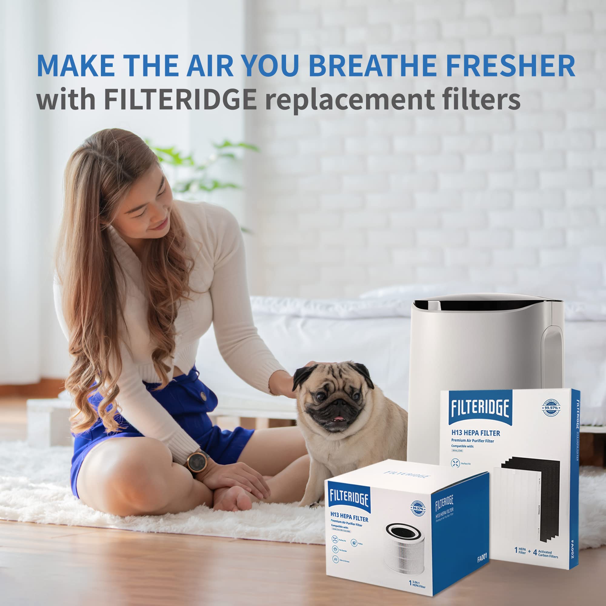Filteridge C545 Replacement Filter, Compatible with Winix C545, Winix S Filter 1712-0096-00 Air Purifier, H13 True HepaFilter Replacement, 1 H13 HEPA Filter + 4 Activated Carbon Filters