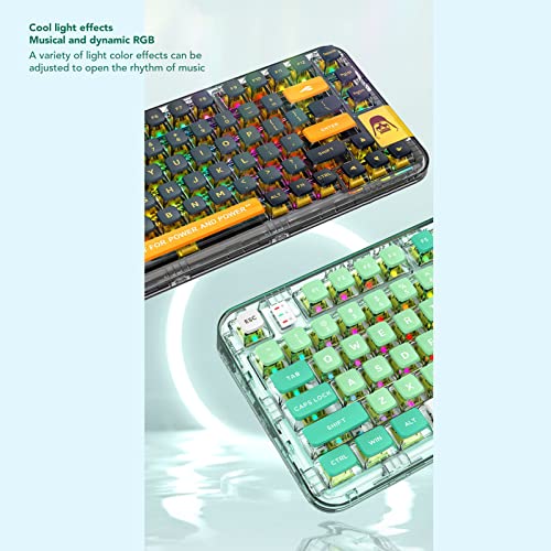 Dilwe Mechanical Keyboard,Wireless Keyboard, 80 Keys RGB Backlit Gaming Keyboard,Computer Keyboard,Triple Modes Gasket Structure,Gaming Keyboard for Study Work Games (Black)