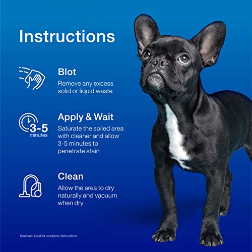 Shout for Pets Turbo Oxy Urine Remover | Carpet Cleaner and Pet Odor Eliminator in Fresh Scent, 32 Oz | Fast, Easy, and Effective for Pet Odors in Homes