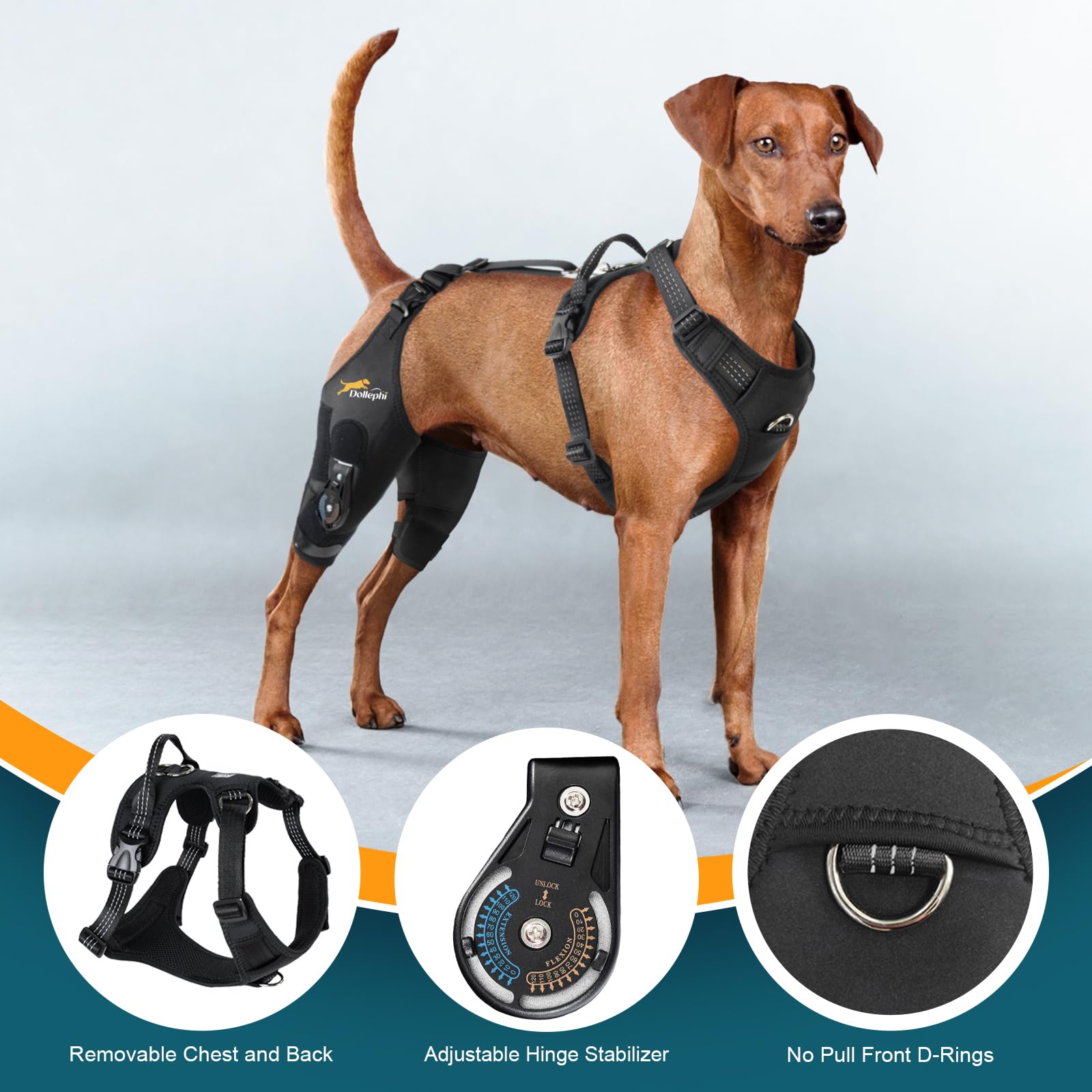 Dollephi Dog Knee Brace for torn acl hind leg with Adjustable Hinge Stabilizer, Dog leg brace Support for Cruciate Ligament Injury, Dog back brace for Osteoarthritis, Recovery After Surgery,et(L)