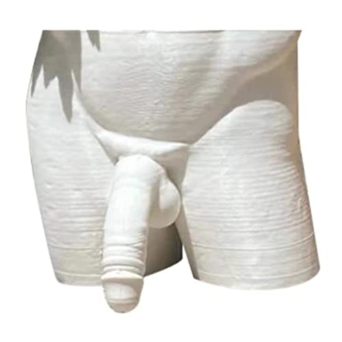 HFEHSKJ Body Vases for Decor, Unique Planter Resin Male Body Plant Pots, Unique Succulents Pot for Home Table Garden