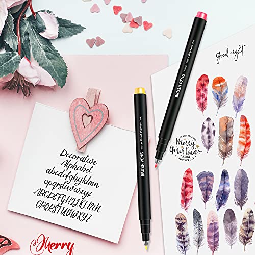 Piochoo Calligraphy Pens,10 Refill Colors Brush Markers Hand Lettering Pens for Beginners, Hand Writing, Drawing, Sketching, Journaling, Illustrations
