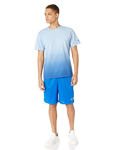 Champion Men's Shorts, Mesh Shorts, 9", Men's Mesh Basketball Shorts, Men's Mesh Gym Shorts