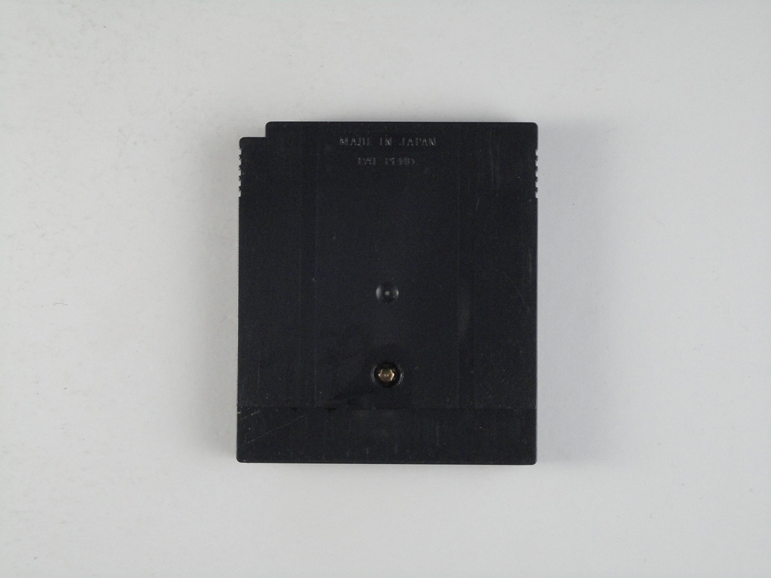 Shanghai Pocket