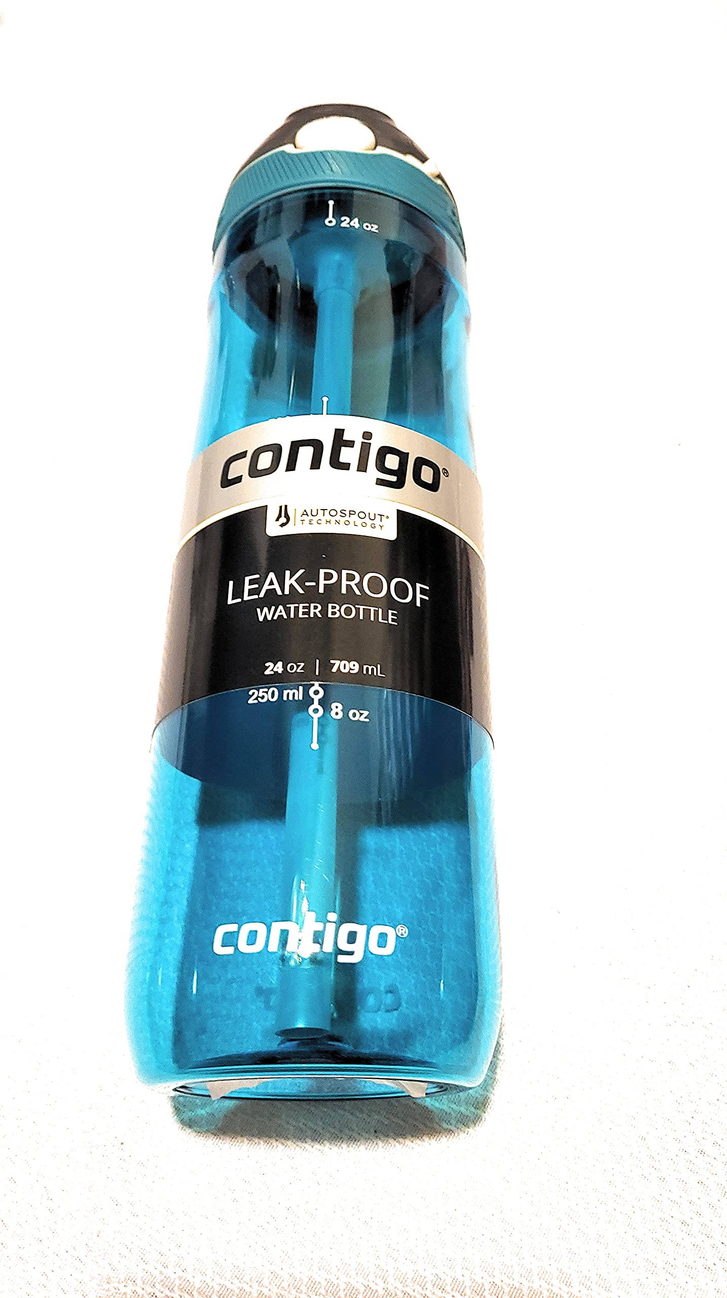 Contigo Ashland 24OZ Scuba