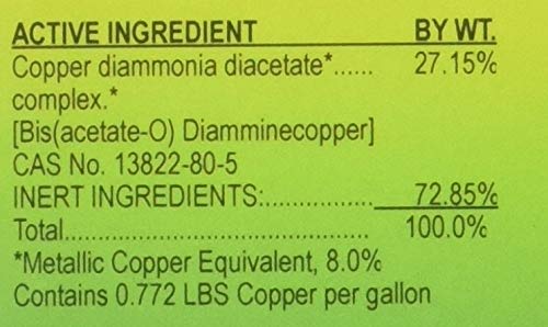 Southern Ag - Liquid Copper Fungicide - Fungicide, 16oz