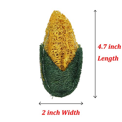 Lanermoon Chew Toy for Teeth,Natural Loofah with Corn Shape,2 Pack Pet Toys for Rabbits,Hamsters,Guinea Pigs,Parrots and Other Small Animals