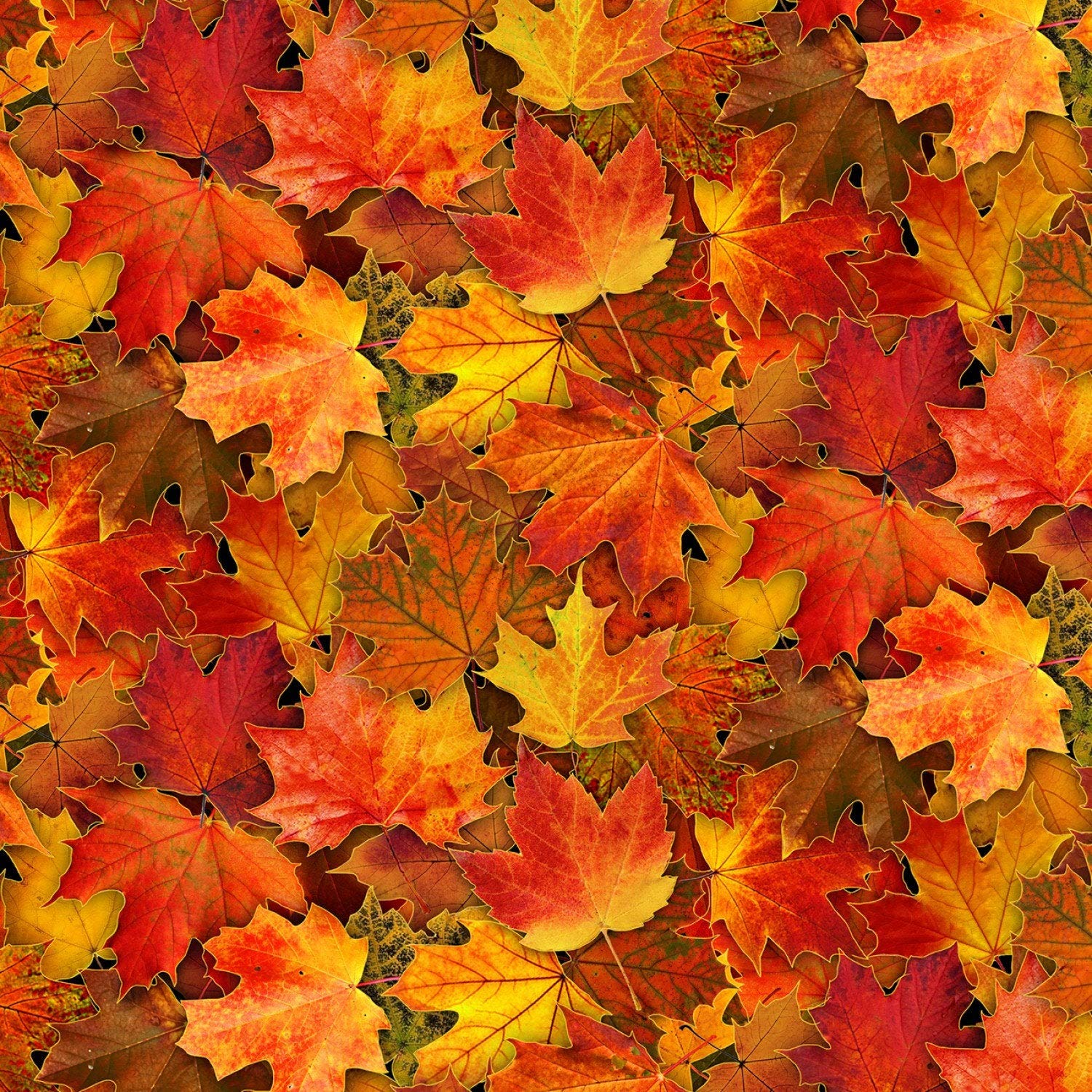 Leave Fabric Landscape Fall Leaves with Metallic Gold in Multi 100% Cotton Fabric by The Yard