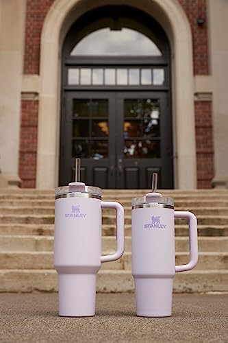 Stanley Quencher H2.0 FlowState Stainless Steel Vacuum Insulated Tumbler with Lid and Straw for Water, Iced Tea or Coffee, Smoothie and More, Orchid, 30 oz