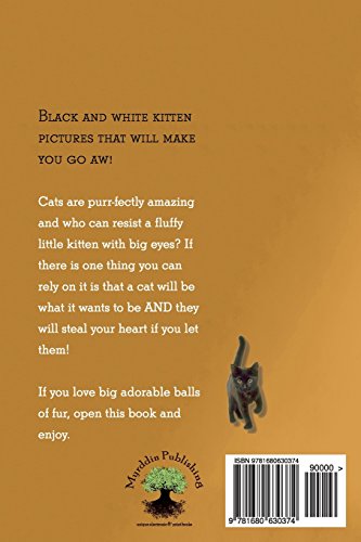 Meow-nificent Kittens: The Secret Personal Internet Address & Password Log Book for Kitten & Cat Lovers (Disguised Password Books)