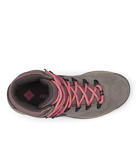 Columbia Women's Newton Ridge Plus Waterproof Amped, Stratus/Canyon Rose, 8.5