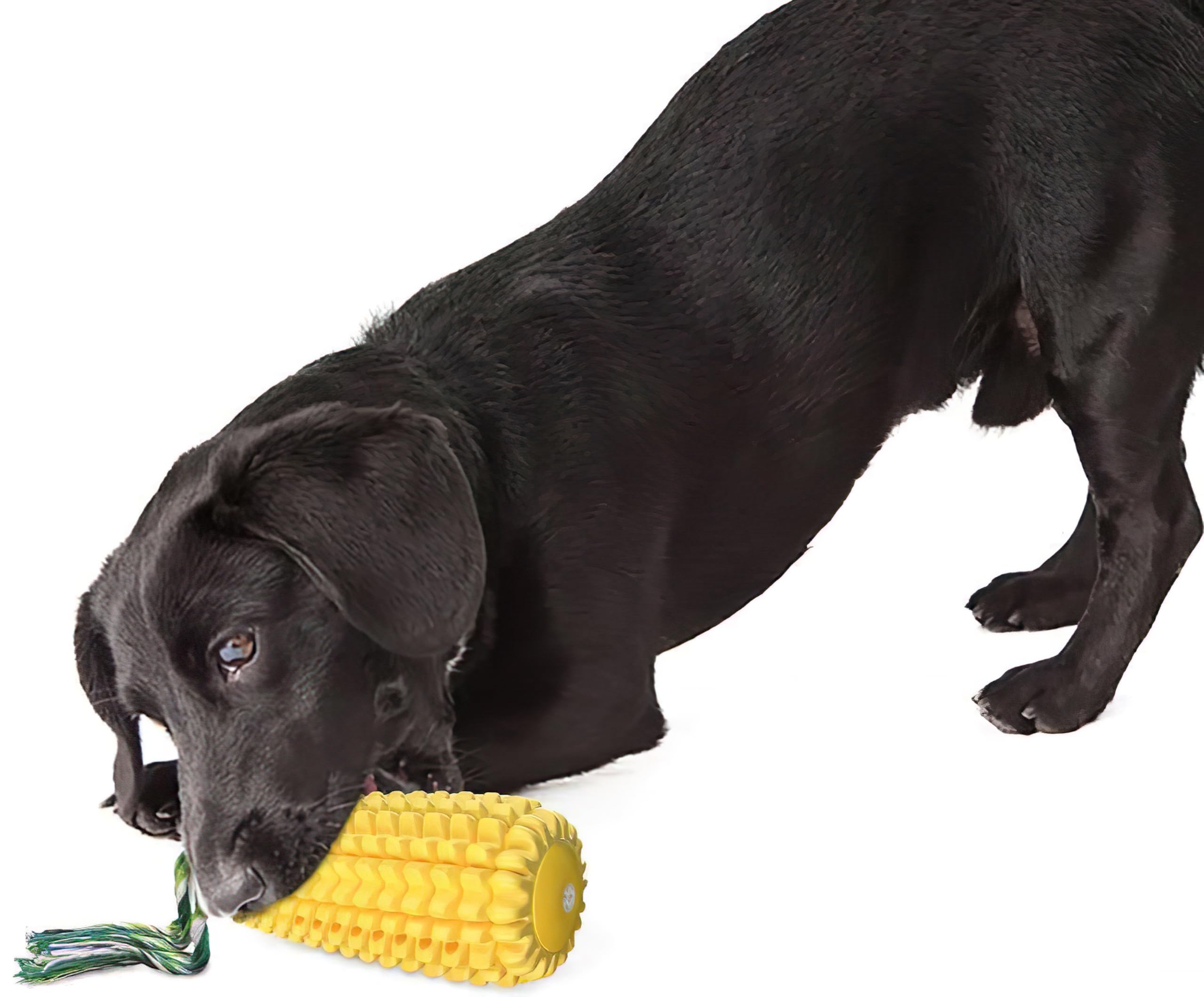 Generic Dog Chew Toys for Aggressive Chewers β 2 Pcs Set Indestructible Tough Durable Squeaky Interactive Dog Corn Stick Toys for Small Medium Large Pet Super Fun Puppy Teeth Chew, Yellow