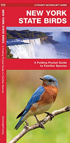 New York State Birds: A Folding Pocket Guide to Familiar Species (Nature Observation North America)