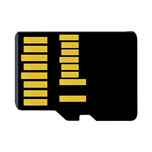 Delkin Devices 256GB Power microSDXC UHS-II (V90) Memory Card