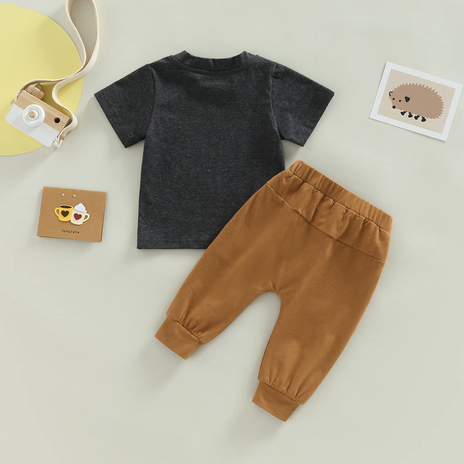 Easter Baby Boys Pants Set Short Sleeve Crew Neck Letters Rabbit Print T-Shirt +Sweatpants (Gray-Mr Steal Your Eggs, 6-12 Months)