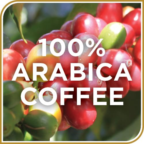 Don Francisco's Organic French Dark Roast Whole Bean Coffee (18 oz Bag)