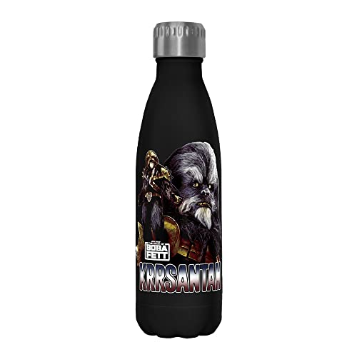 Star Wars Questions Later 17 oz Stainless Steel Water Bottle, 17 Ounce, Multicolored