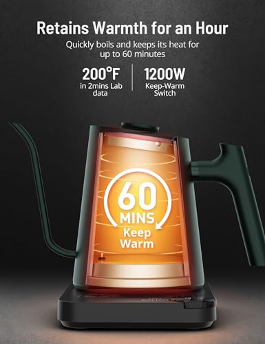 Gooseneck Electric Kettle, Paris Rhône Electric Kettle with 4 Variable Presets, ±1℉ Temperature Control & LED Real-time Temperature Display, Stainless Steel Inner, 24H Keep Warm for Coffee, Tea, 0.9L