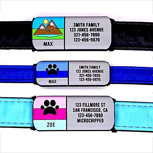 LYP Soundless Slide-On Collar Dog ID Tag - Designer Deep Engraved Silicone β Engraving Will Last - Pet ID Tags, Dog Tags, Cat Tags (Paw - Hot Pink, Medium)